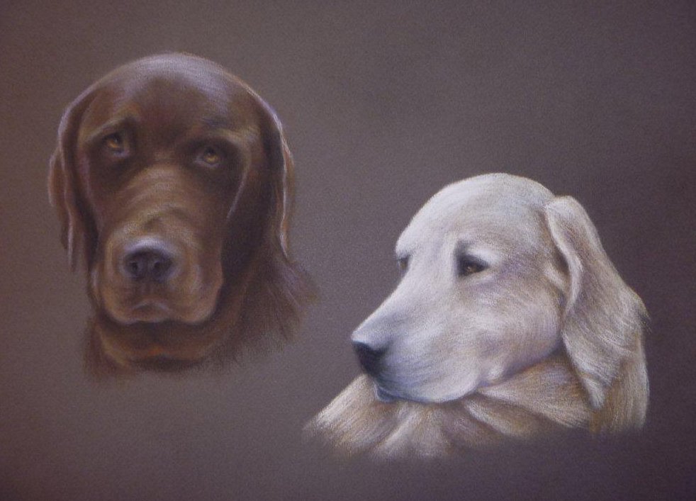 Labs – susan busch creations