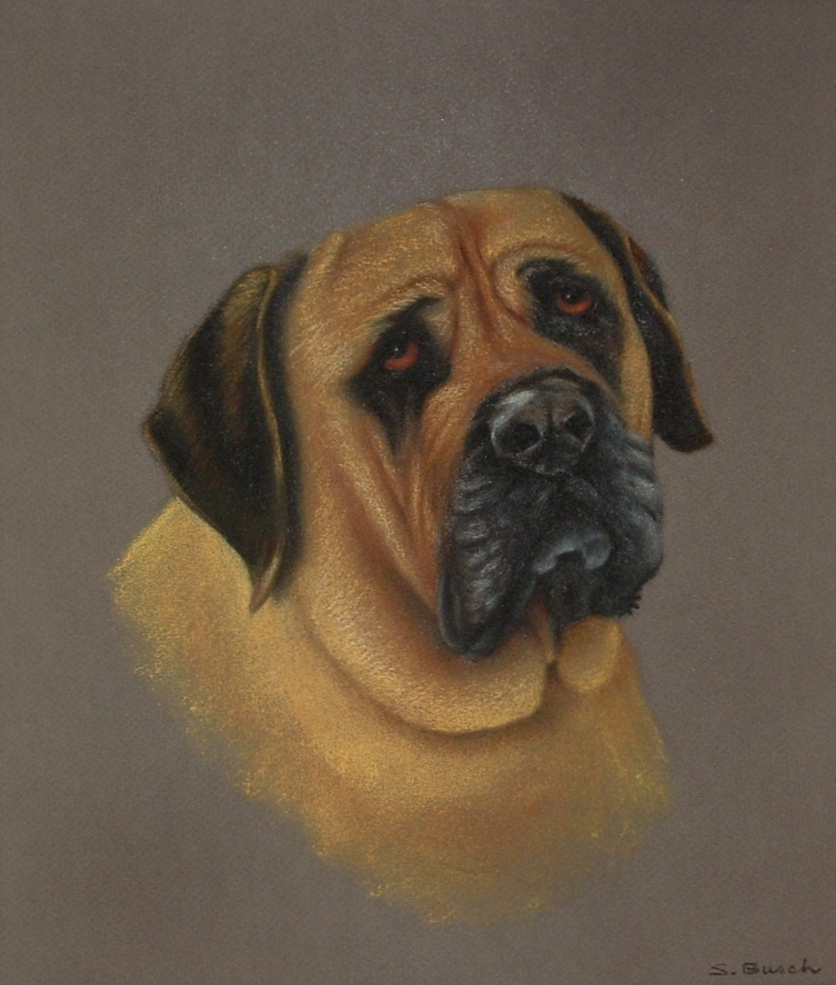 Mastiff – susan busch creations
